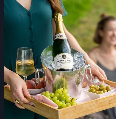 Meopham Valley Vineyard Tour and Tasting