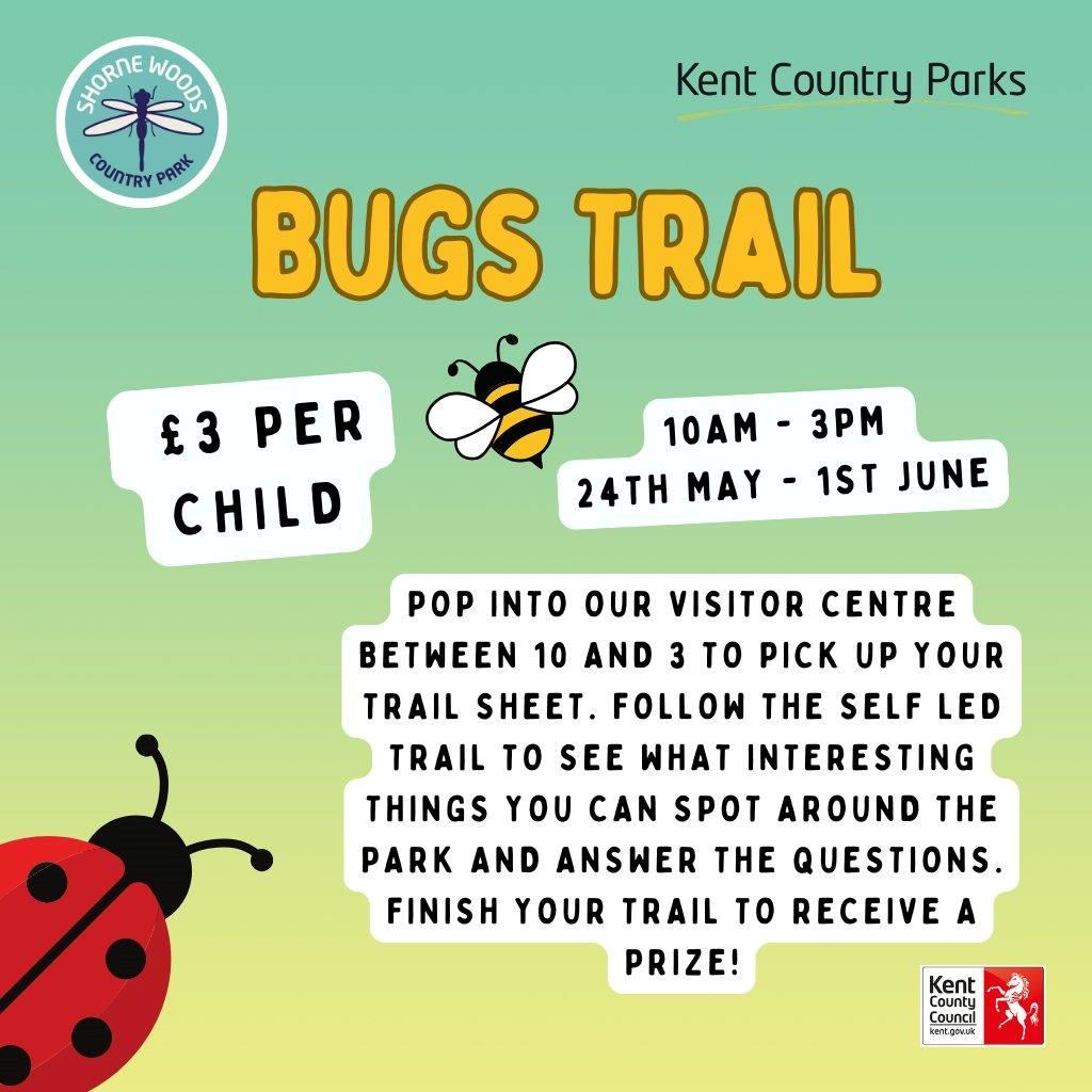Bugs Trail - Half Term Event